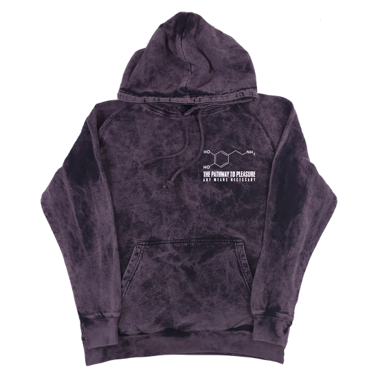 Dopamine Pullover Hoodie Vintage Black – Any Means Necessary Clothing