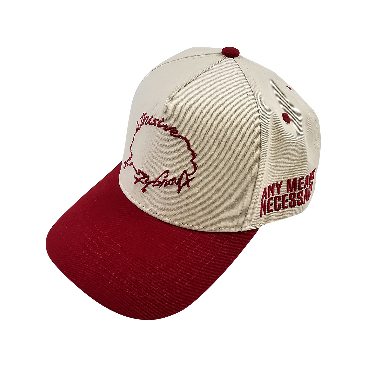 Hats & Beanies – Any Means Necessary Clothing