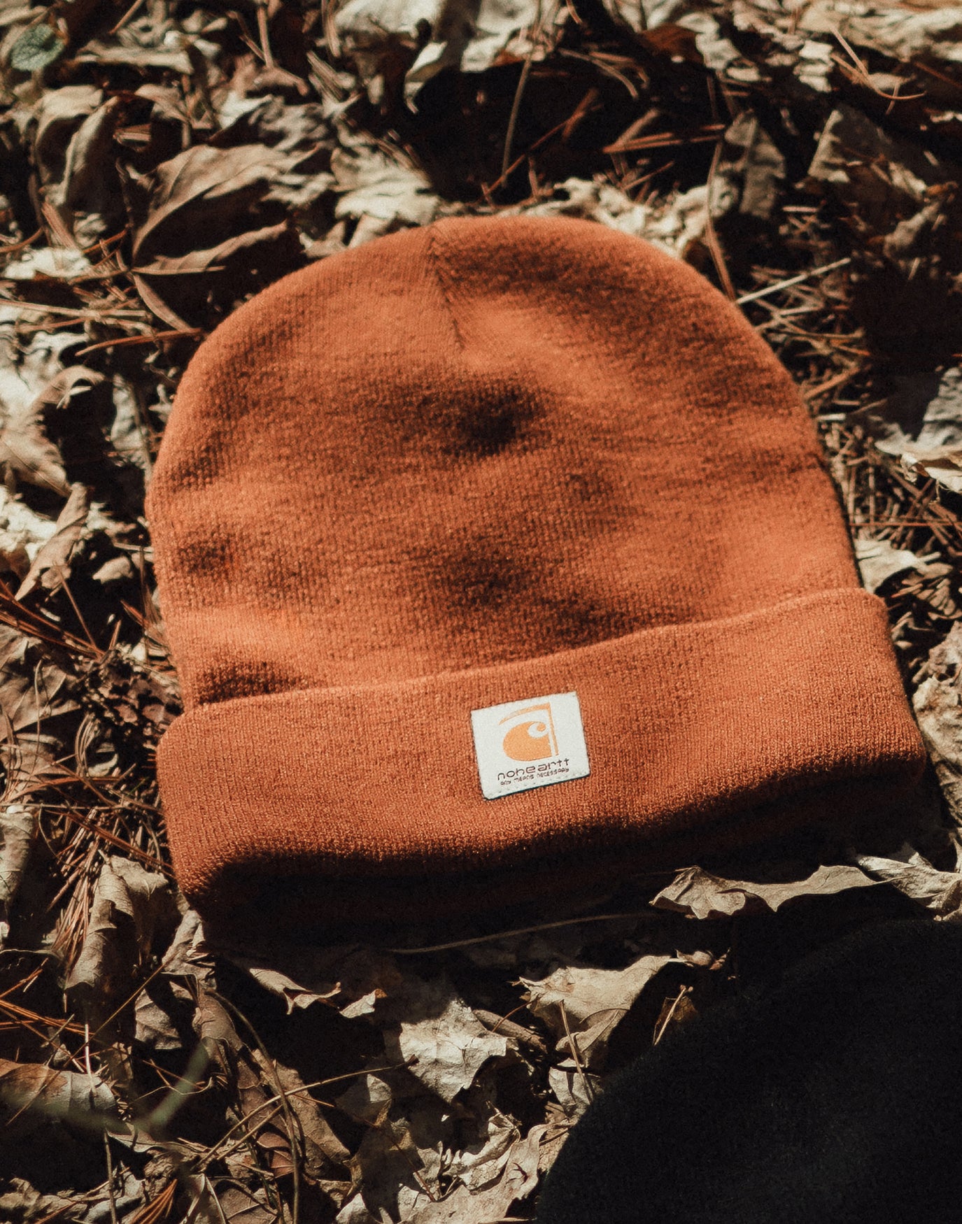 Hats & Beanies – Any Means Necessary Clothing
